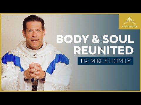 What It Means – My Daily Musing