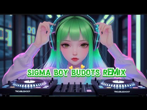 SIGMA BOY BUDOTS REMIX | TROUBLESHOOT