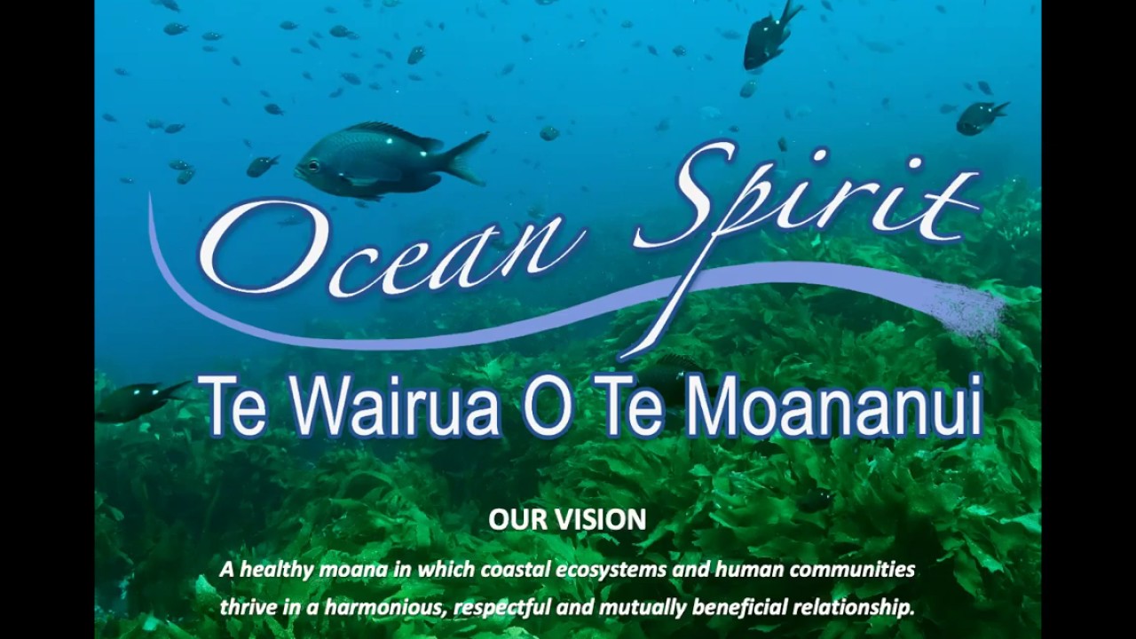 Hauora Moana Community Monitoring Power Point Presentation