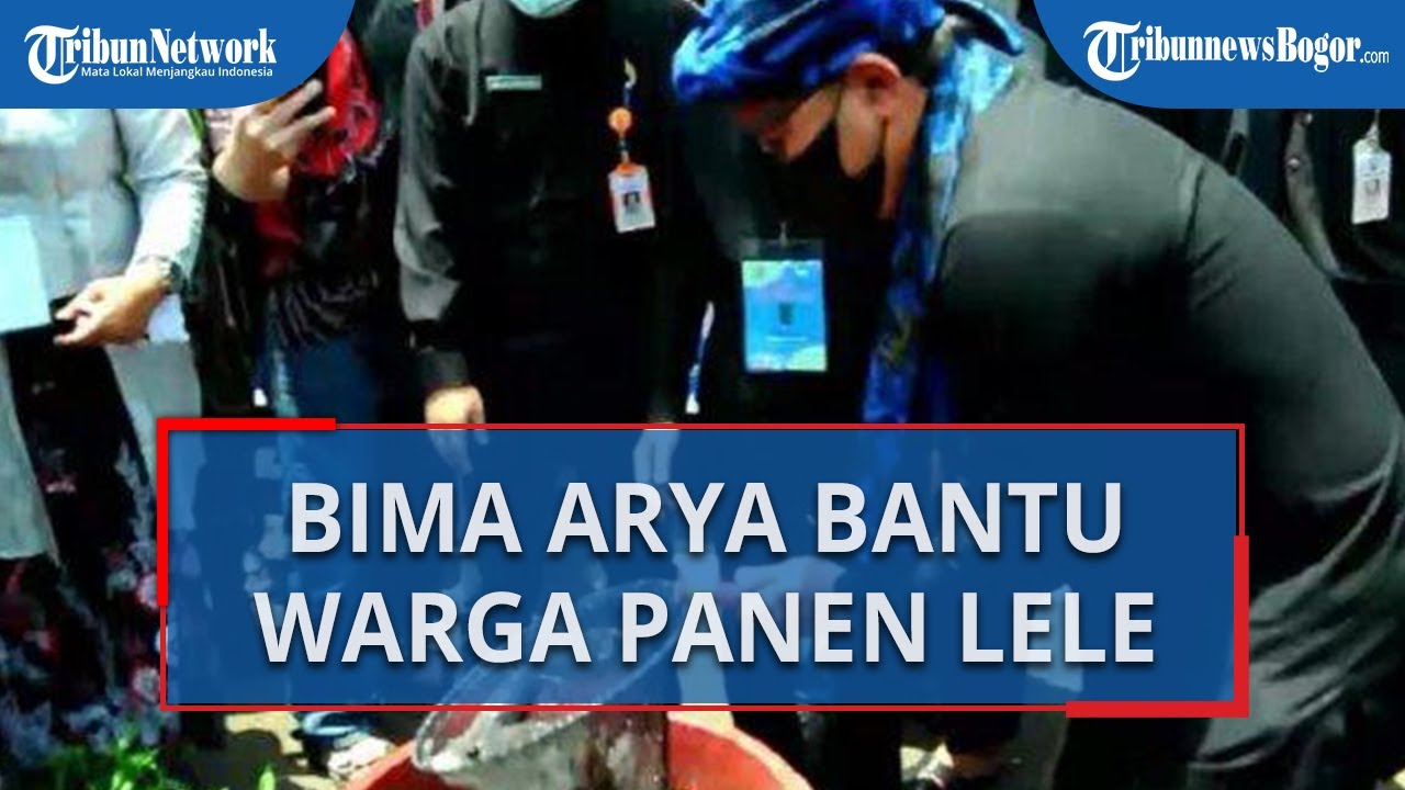 Ikut Panen Ikan Lele Dalam Ember Inovasi Warga Bogor, Bima Arya: Ini ...
