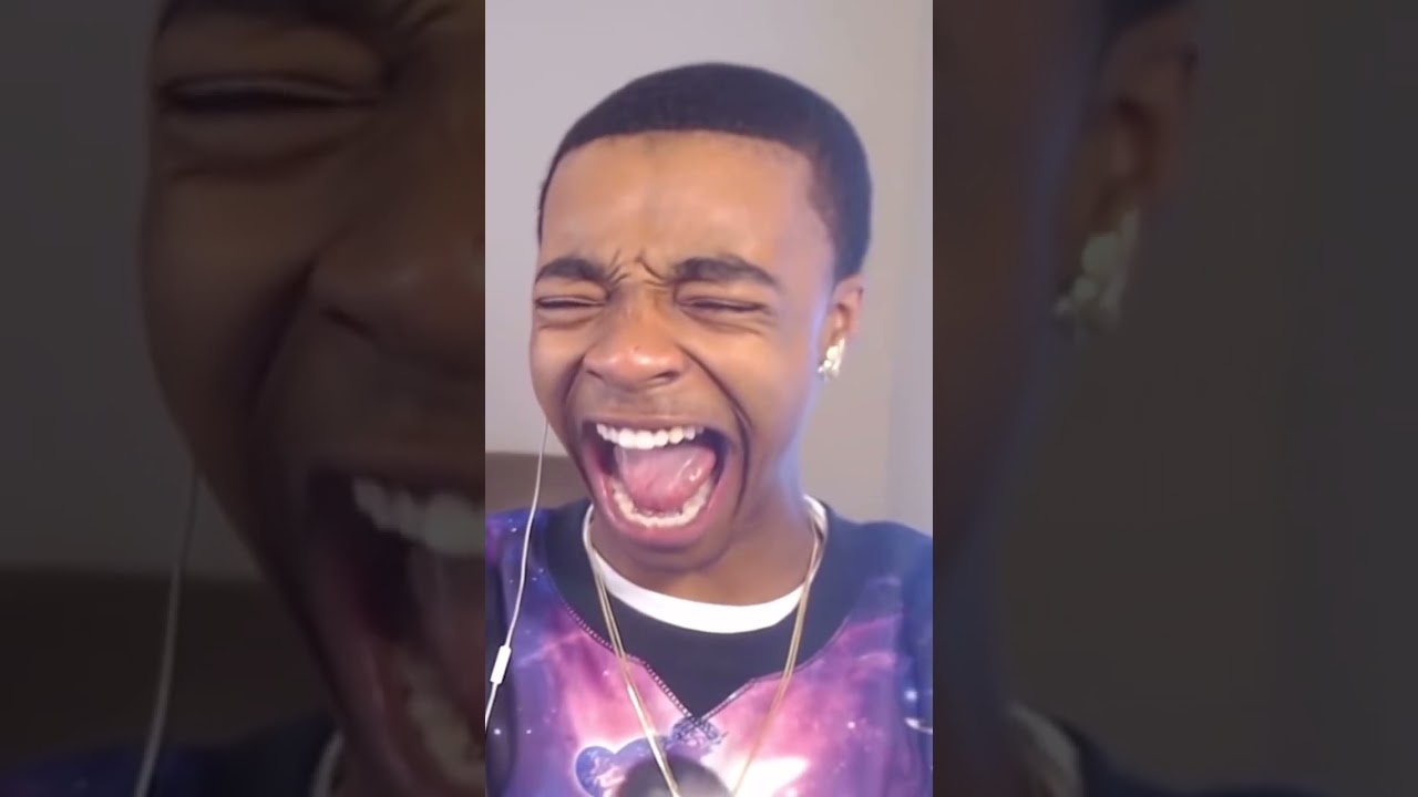 Flightreacts OG DOLPHIN LAUGH