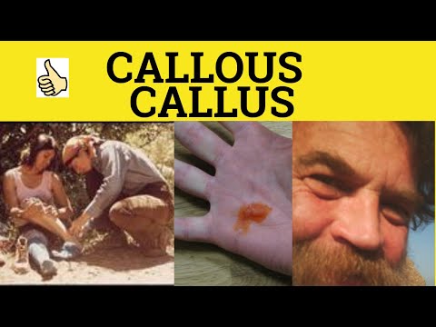 🔵 Callous Callus - Callous Meaning - Callus Examples - Callously Callousness - GRE 3500 Vocabulary