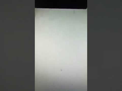 Bakteri pada pupuk EF FOTOSINTESA | wa 081288970570