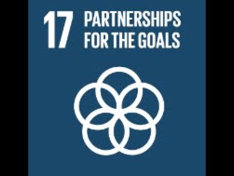 SDG 17 Partnerships for the Goals 2024
