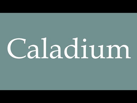 How to Pronounce ''Caladium'' Correctly in French