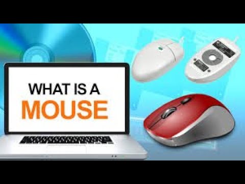 What is mouse full definition of mouse