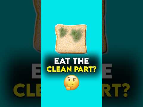 Is It Okay To Eat MOLDY BREAD? 🥪