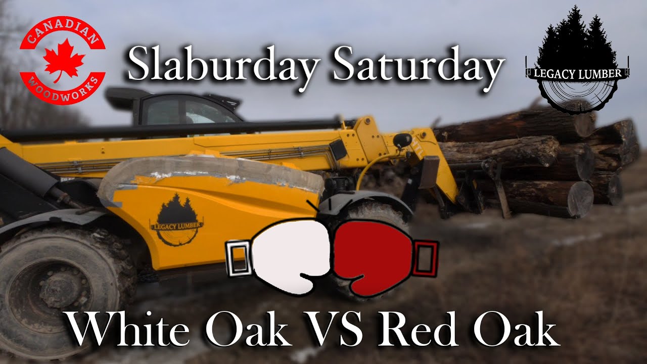 Slaburday Saturday - Red Oak vs White Oak Heavy Weight Fight