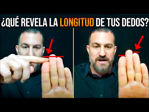 Neurocientífico: "Si tu Dedo Anular es más LARGO que tu Dedo Índice, entonces..." - Andrew Huberman