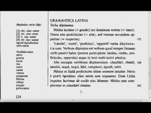 Lingua - 16.G Reading Tutorial