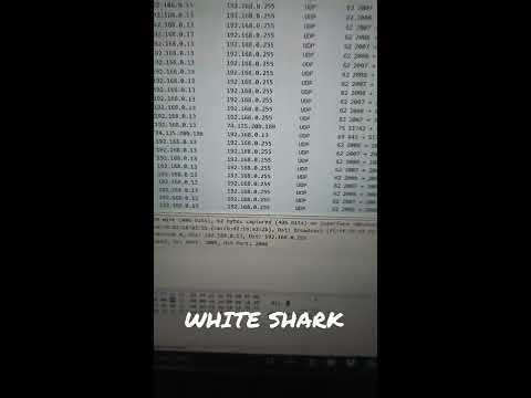 IP logger information gathering || Knowing someone's location || White shark || I AM N OFFIFIAL