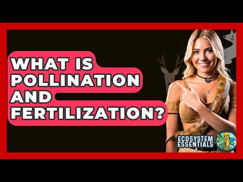 What Is Pollination And Fertilization? - Ecosystem Essentials