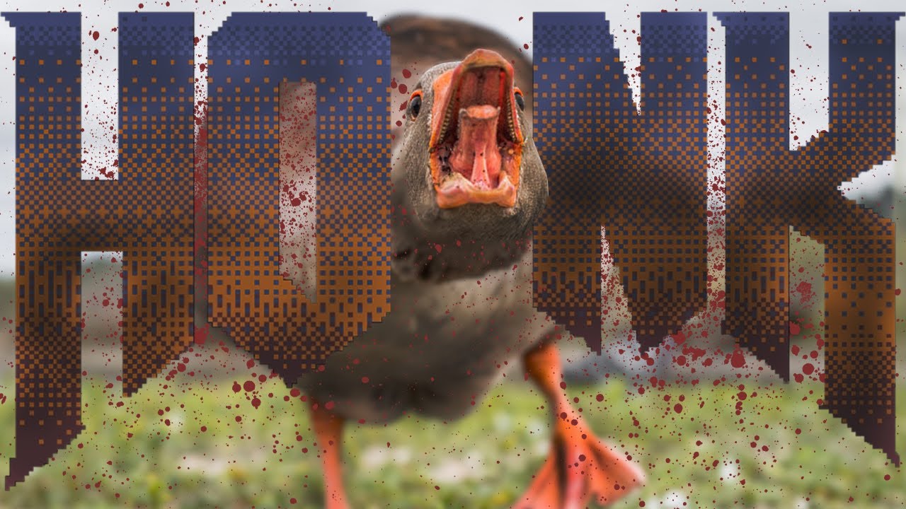 The Doom Goose | Honk II