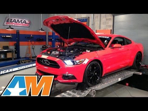 2015 Ford Mustang EcoBoost Tuned by Bama Performance Shows Hefty Real ...
