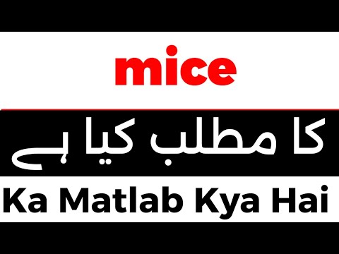 Mice Meaning In Urdu | Mice Meaning | Mice Ka Matlab Kya Hota Hai | Mice Urdu Me
