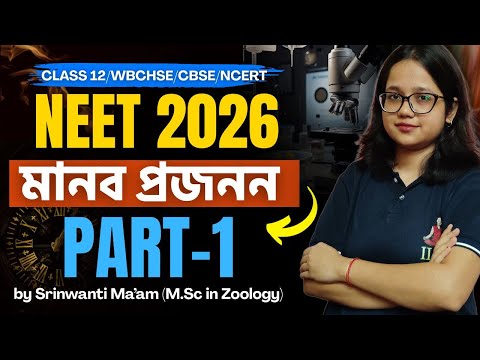 Human Reproduction | Part 1 | Class 12 Biology | NCERT | CBSE | By Srinwanti Ma'am