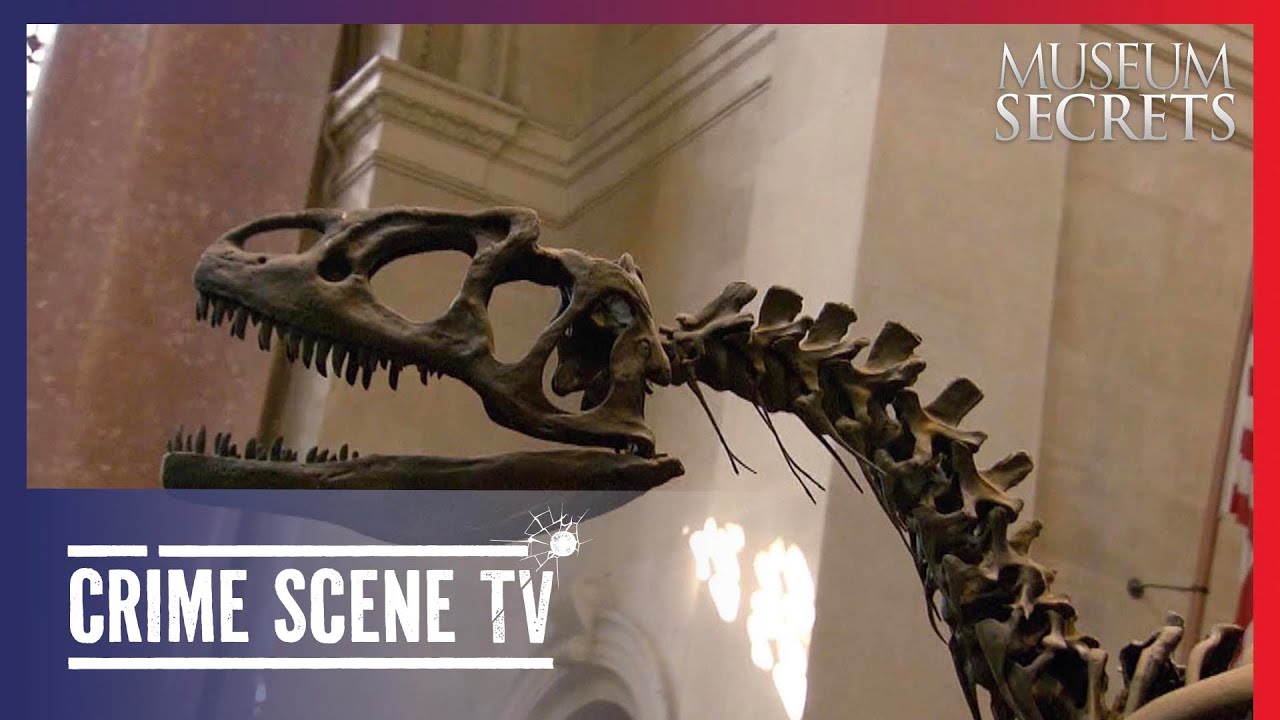 Inside the American Museum of Natural History, New York | Museum Secrets 10/22 | Crime Scene TV