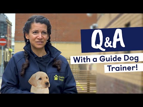 Q&A With a Guide Dogs Trainer | "The BEST Job in the World"