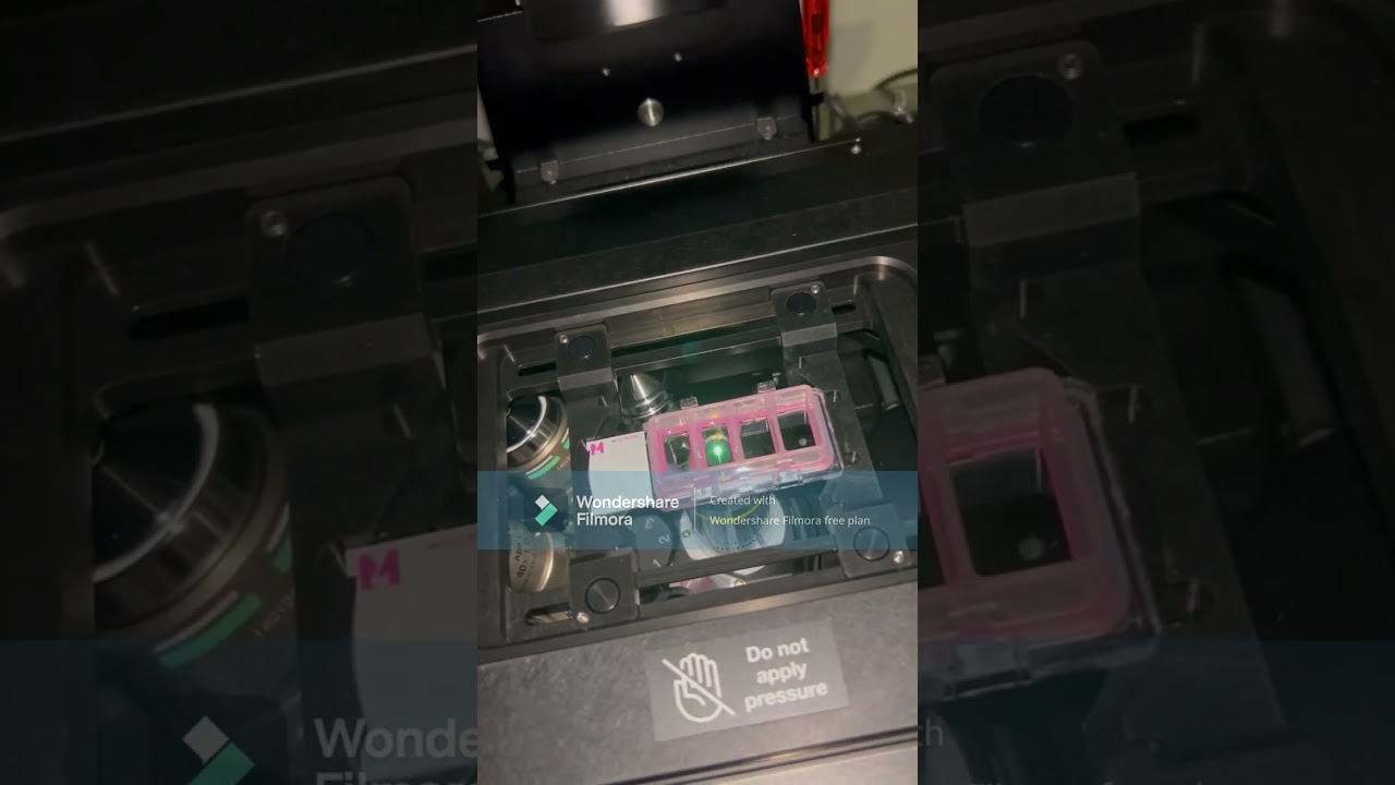 Nikon AX NSPARC Confocal