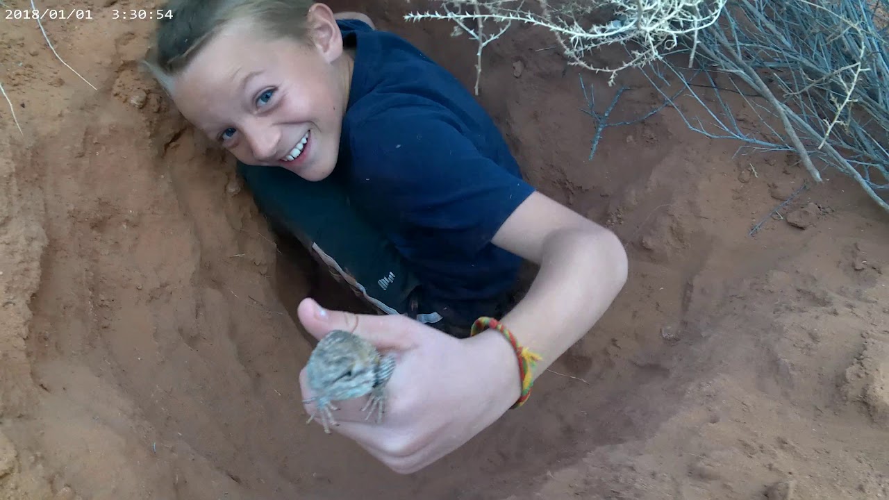 CAUGHT A HUGE DESERT SPINY LIZARD!