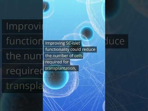 4i Strategies for improved SC-islet generation