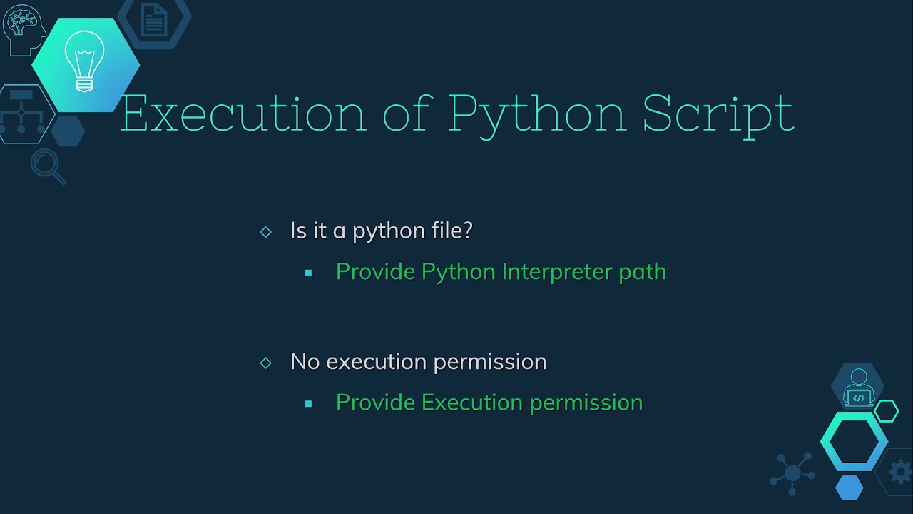 Running a Python Executable in ROS