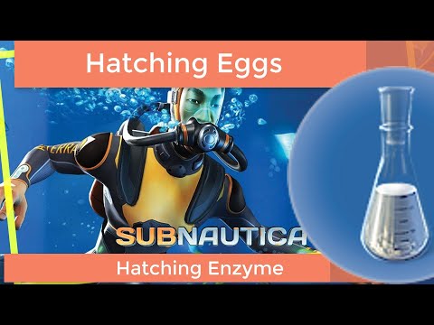 Steam Community :: Video :: Subnautica Making the Hatching Enzyme and ...