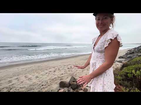 Beachside Seared Ahi Stir Fry Recipe | Ex President Style