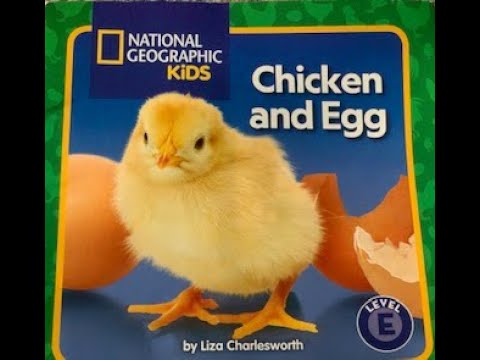 Chicken and Egg Read Aloud by S. Yousafzai