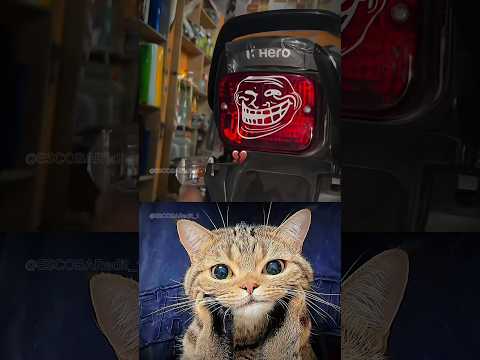 Troll face stickers #cat #meme #dance