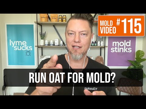 Why is an OAT test good for mold illness?