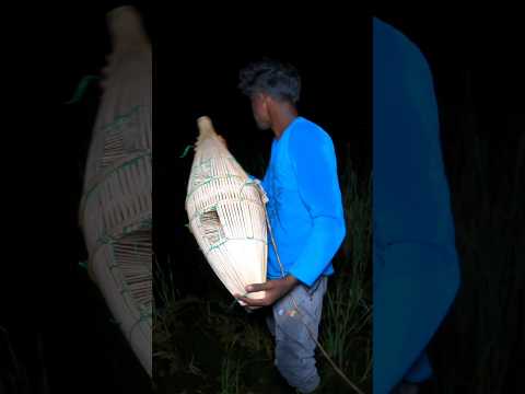 fish trap ல மாட்டுனது என்ன.. 😱#fishtrap #fishing #shorts