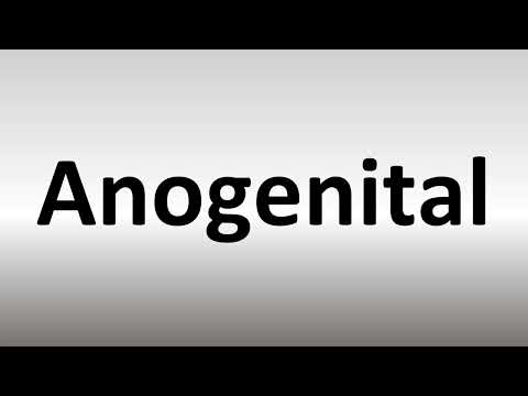 How to Pronounce Anogenital