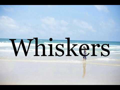How To Pronounce Whiskers🌈🌈🌈🌈🌈🌈Pronunciation Of Whiskers