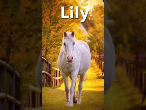 Names for White (Grey) Horses | Unique Horse Name Ideas 💡