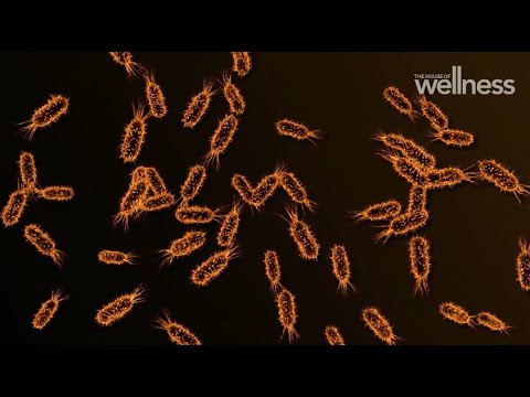 Revolutionary light therapy showing promises to use against superbugs