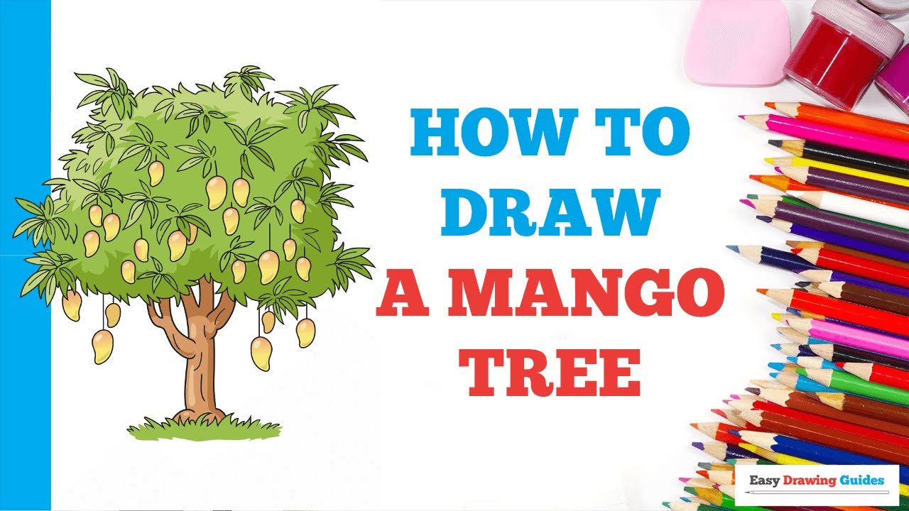 How to Draw a Mango Tree: Easy Step by Step Drawing Tutorial for Beginners