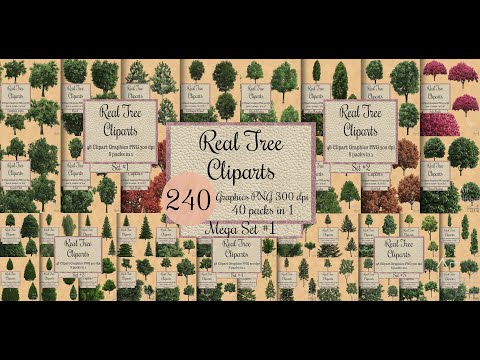 240 Real Tree Cliparts - Mega Set 1 - photoshop overlays png, Tree layout, transparent background