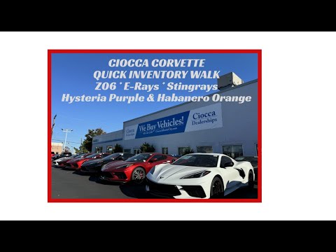 CIOCCA CORVETTE QUICK INVENTORY WALK