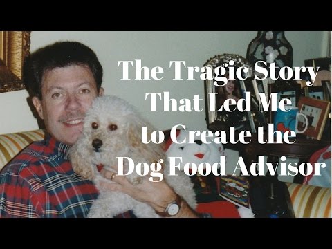 About Mike Sagman and The Dog Food Advisor