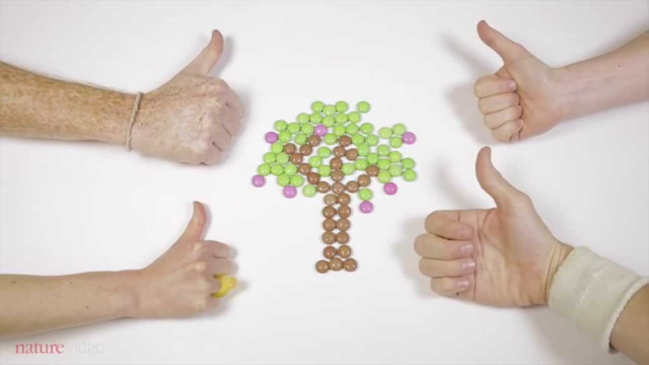 Handing on a sustainable future