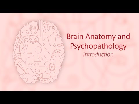 1.1 Introduction to Brain Anatomy and Psychopathology