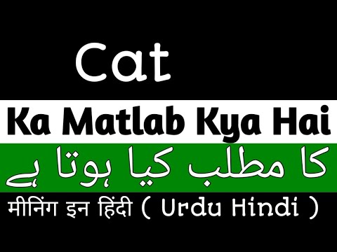 Cat Meaning | Cat Meaning In Urdu Hindi | Cat Ka Matlab Kya Hai | Cat Ka Meaning Kya Hai