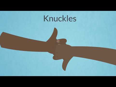 PPE/Personal Protective Equipment (English)