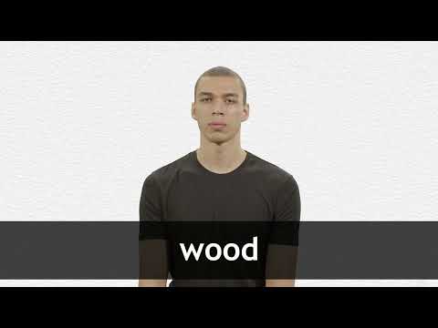 WOOD definition and meaning | Collins English Dictionary