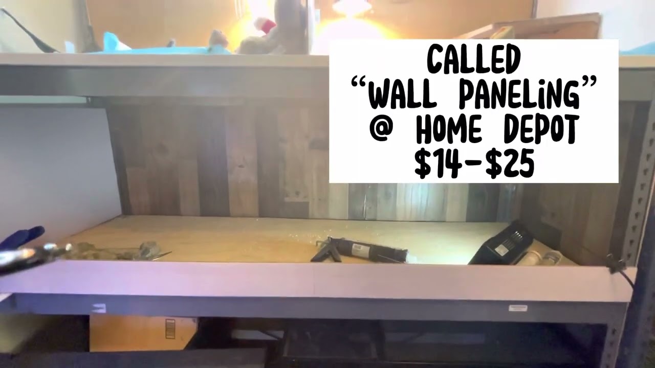 DIY Bearded Dragon Enclosure