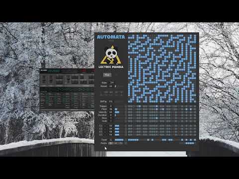 Lectric Panda에서 Cellular Automata 기반 MIDI 제네레이터 Automata 출시 > 뉴-스 | 스원포코