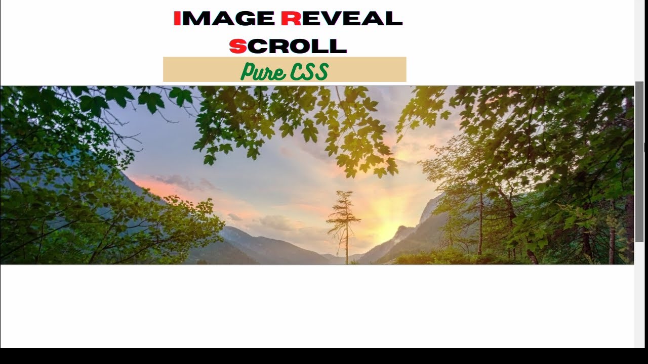 Image Reveal On Scroll | Css, Html  and JQuery