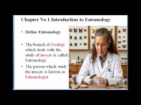 Chapter 1: Introduction to Insects and Entomology | Entomovision