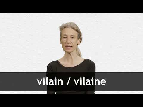 English Translation of “VILAIN” | Collins French-English Dictionary